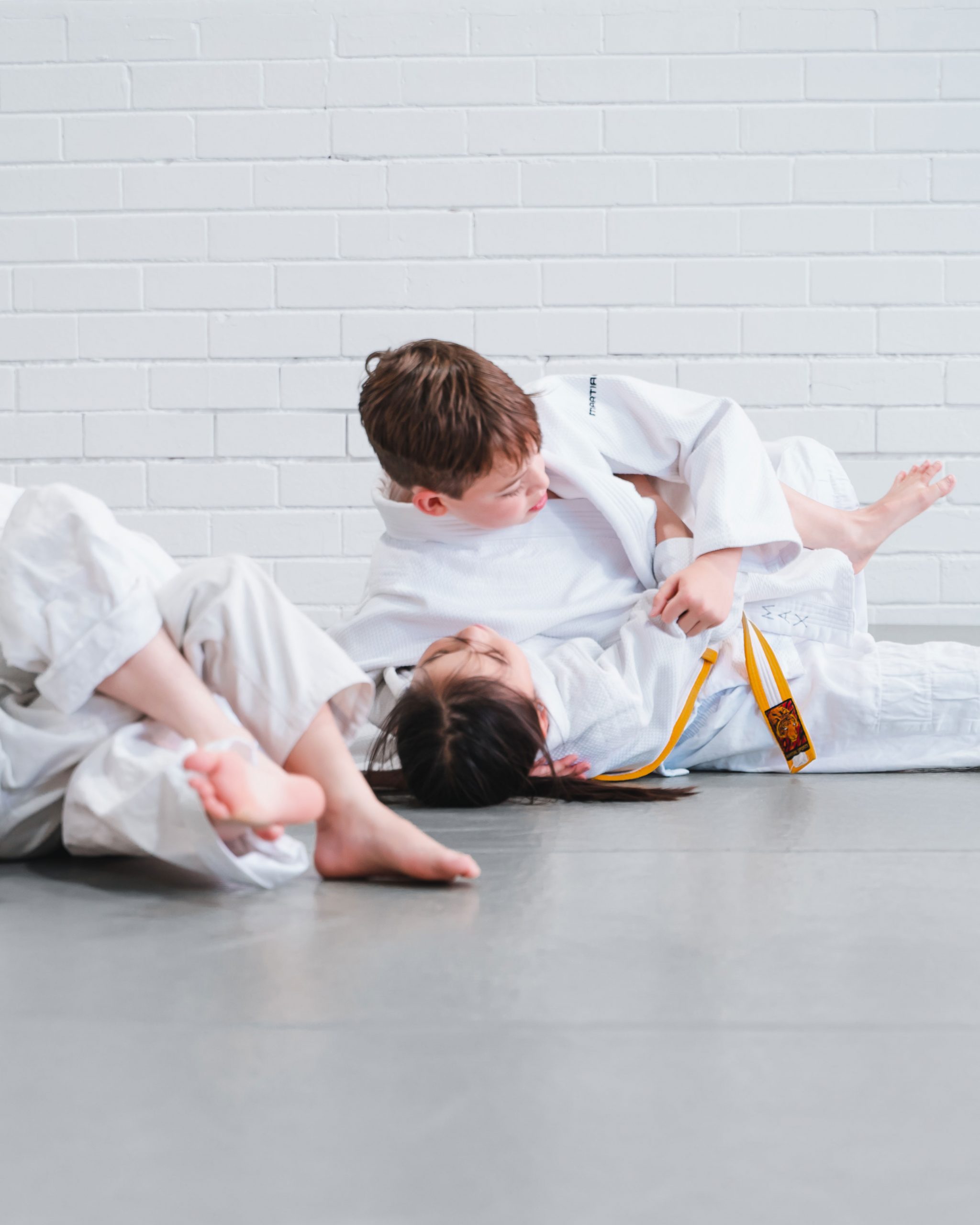 Melbourne Aikido - Childrens Aikido classes available in Brunswick